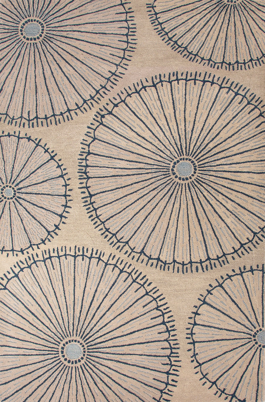 National Geographic Home Collection NTP04 Rug