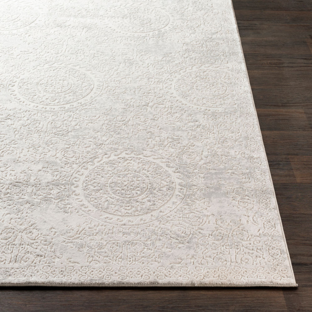 Surya Aisha AIS-2307 Light Gray Transitional Traditional Rug from the ...