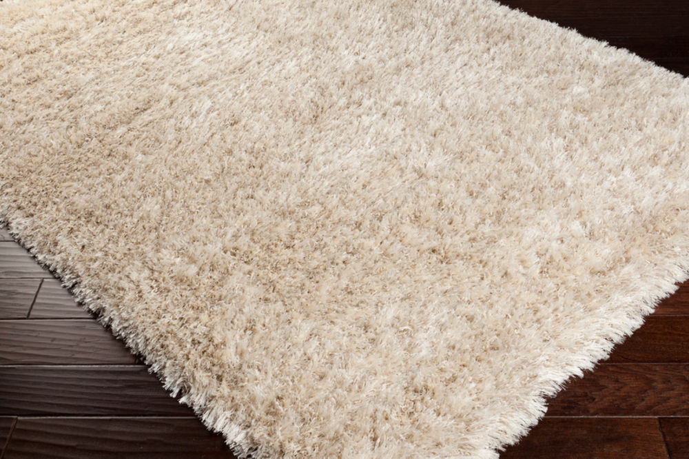 Rhapsody RHA-1002 Beige Shag Solid Colored Rug