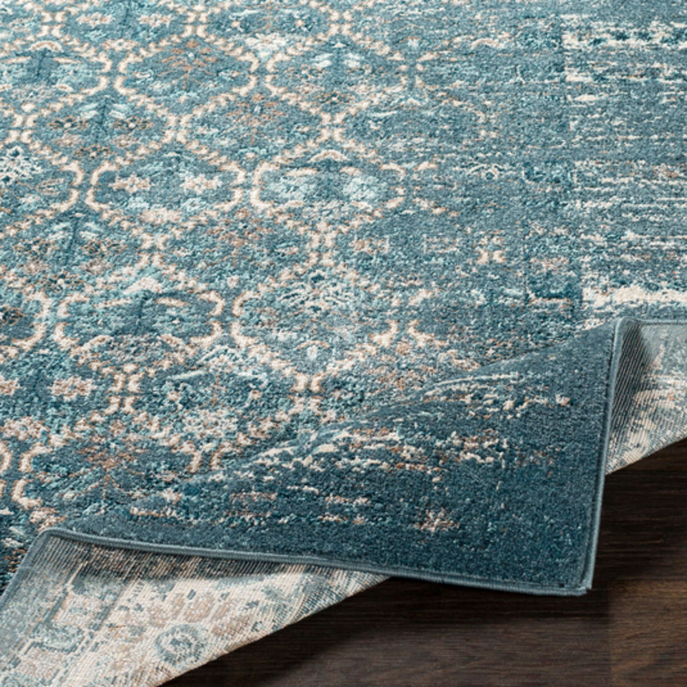 Varanasi VAR-2300 Dark Blue Transitional Synthetic Rug